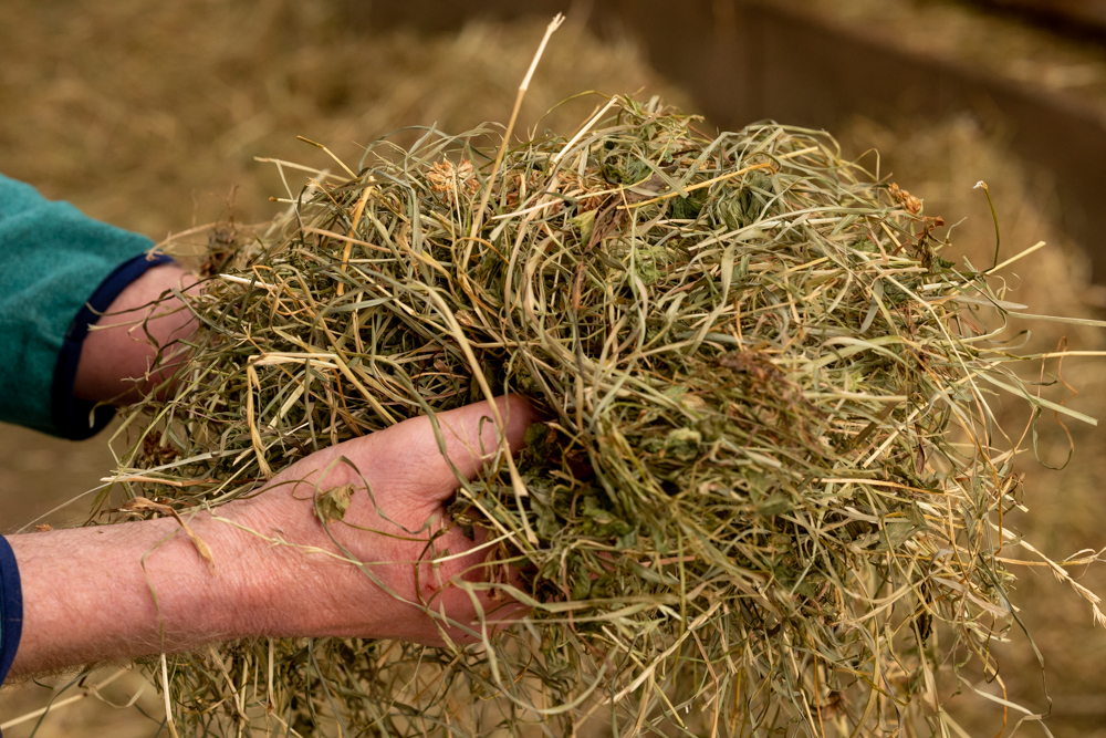 Le guide de la production d’herbe en élevage biologique – Atelier doppio